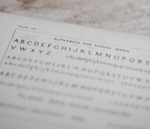 Wild Tree Psychotherapy